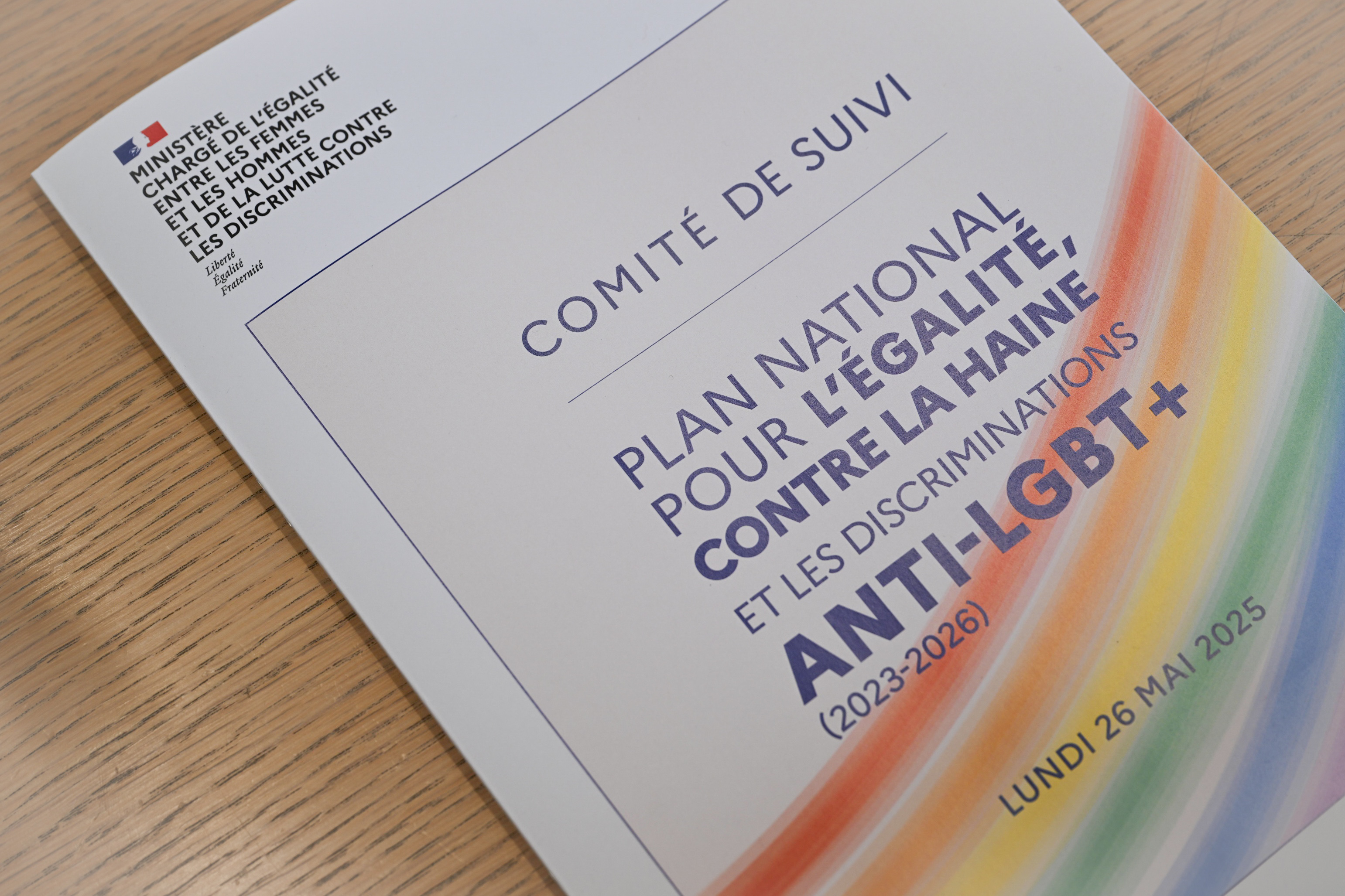 Comité de suivi du plan national pour l'égalité, contre la haine et les discriminations anti ...
